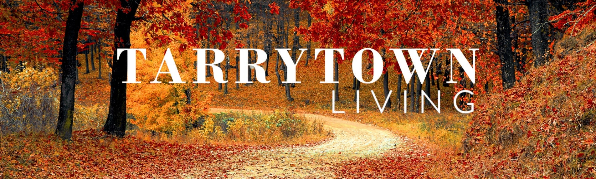 Restora inner page banner - Restora Austin